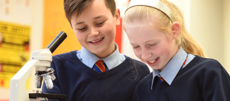 Year 5 Group Overview – Ralph Sadleir School